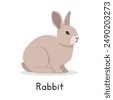 Fat Rabbit Photos, Images & Pictures | Shutterstock