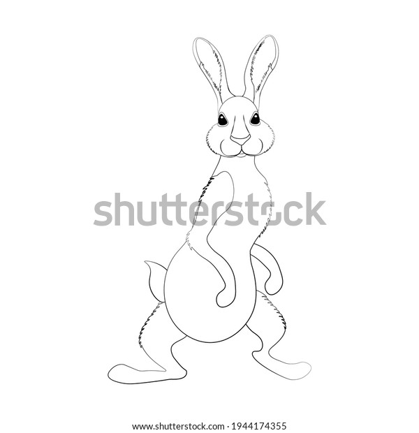Rabbit Vector Illustration Outline On White Stock Vector (Royalty Free ...