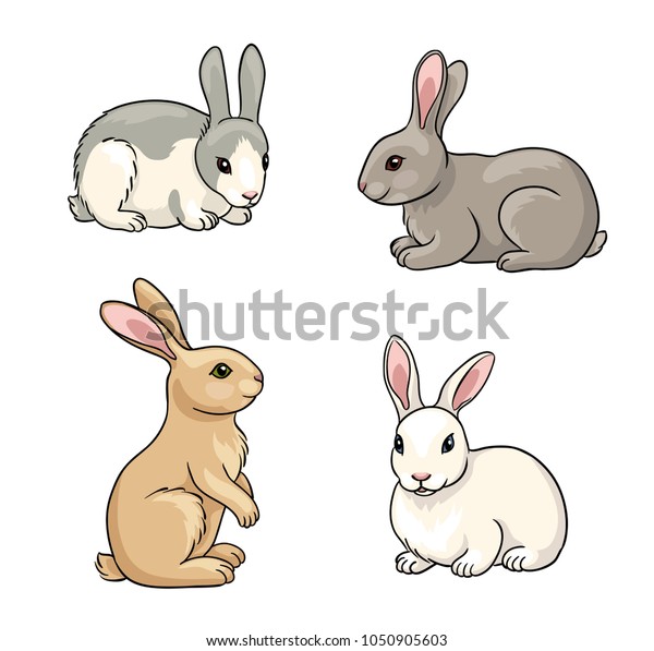 9.094 afbeeldingen voor Spotted rabbit: afbeeldingen, stockfoto‘s en ...