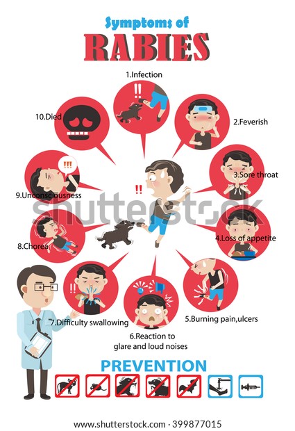 Rabies Cartoon Circles Info Graphicsvector Illustrations Stock Vector ...