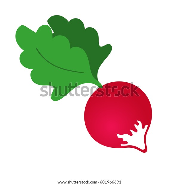 Radish Icon Cartoon Illustration Radish Vector Stock Vector (Royalty ...