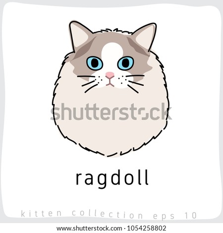 Ragdoll Cat Drawing | Free download on ClipArtMag