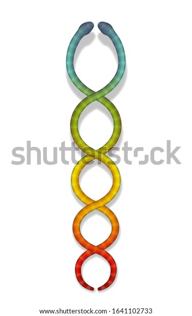 Rainbow Colored Embracing Snakes Kundalini Serpents Stock Vector ...