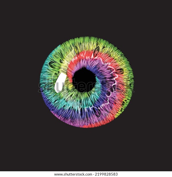 Rainbow Eyeball Illustration Color Vision Creative Stock Vector ...