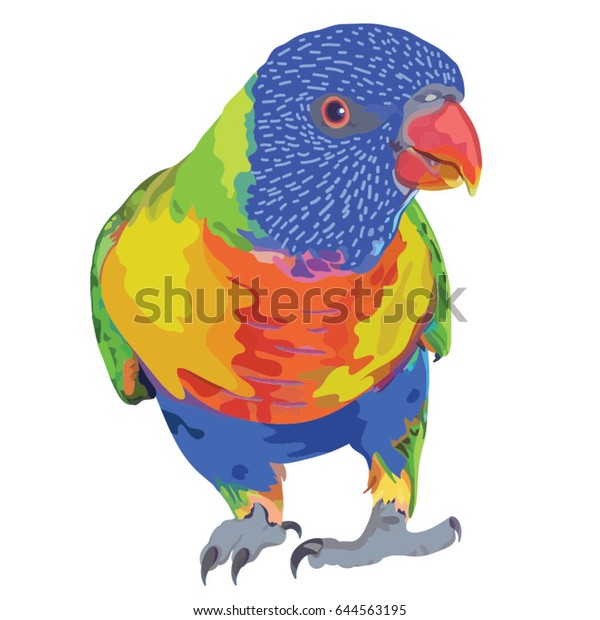 Rainbow Lorrikeet Vector Illustration On White Stock Vector (Royalty ...