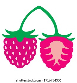 Raspberry Cute Fruits Isolated On White Stock Vector (Royalty Free ...