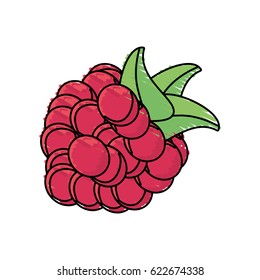 Hand Drawn Vector Raspberry Doodle Colorful: стоковая векторная графика ...