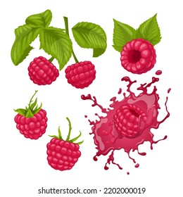 Raspberry Fruit Set Cartoon Red Berry Stock Vector (Royalty Free ...