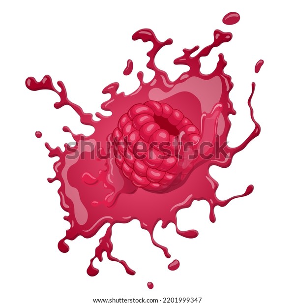Raspberry Splash Cartoon Fruit Juice Berry Stock Vector (Royalty Free ...