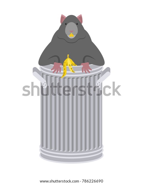 Rat Garbage Can Rodent Trash Big Stock Vector (Royalty Free) 786226690 ...