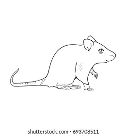 Rat Icon Outline Stock Vector (Royalty Free) 693708511 | Shutterstock