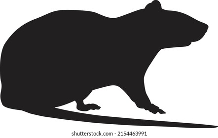 Rat Icon Vector Illustration Black Colour Stock Vector (Royalty Free ...