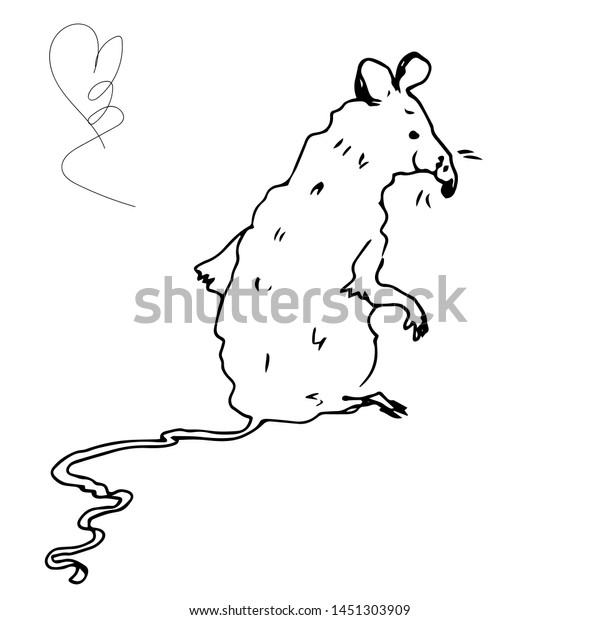 Rat Line Drawing Vector Illustration Stock Vector (Royalty Free ...