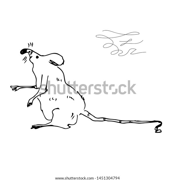 Rat Line Drawing Vector Illustration : image vectorielle de stock ...