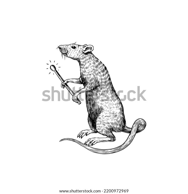 Rat Mouse Match Graphic Wild Animal Stock Vector (Royalty Free ...