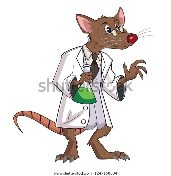Rat Scientist Vector Illustration White Backgroundcan Stock Vector ...