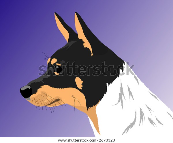 Rat Terrier Dog Stock Vector (Royalty Free) 2673320