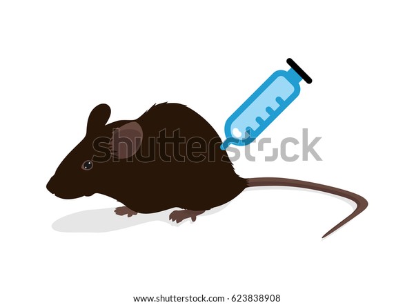 Rat Vector Illustration Syringe Stock Vector (Royalty Free) 623838908 ...