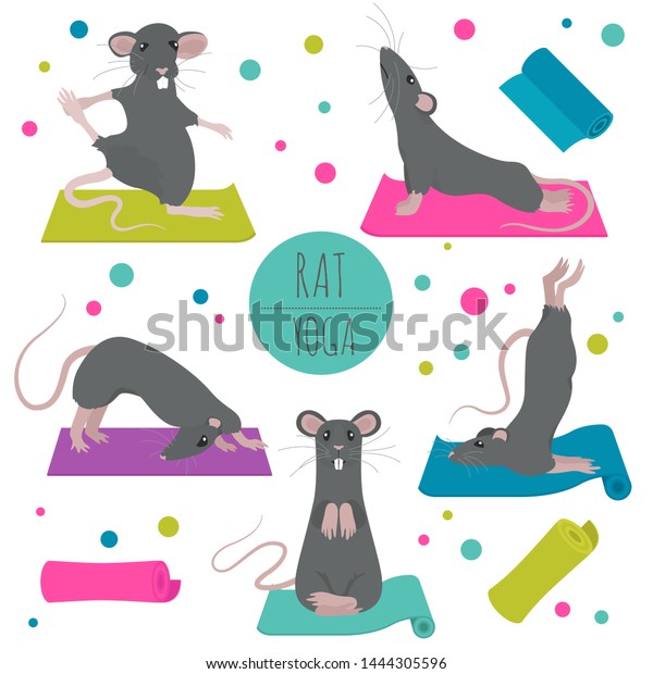 Rat Yoga Poses Exercises Cute Cartoon Stock Vector (Royalty Free ...