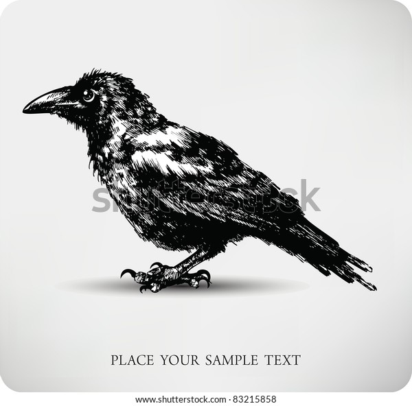 Raven Hand Drawn High Quality Vector Stock Vector (Royalty Free ...