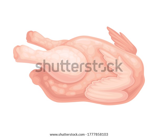 Raw Dressed Chicken Isolated On White Stock Vector (Royalty Free ...