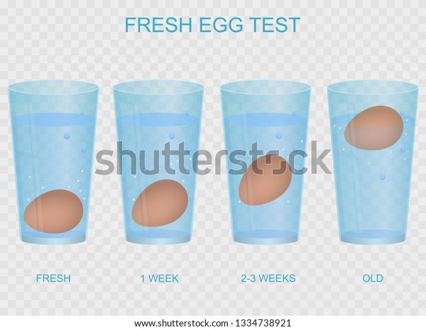 Realistic 3d Detailed Fresh Egg Test Stock Vector (Royalty Free) 1334738921