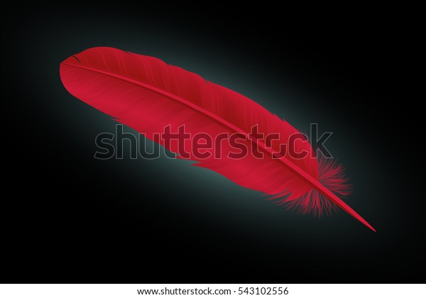 Realistic 3d Detailed Red Feather On Stock Vector (Royalty Free ...