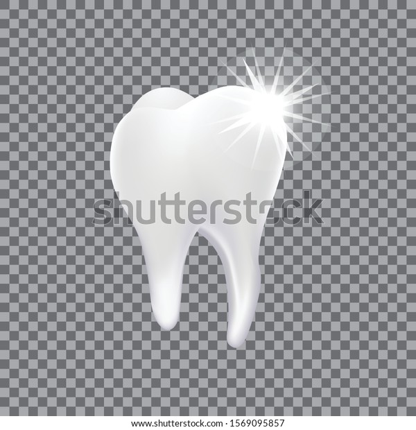 Realistic 3d Tooth Isolated On Transparent Stock Vector (Royalty Free ...