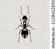 31,606 Cute Ant Royalty-Free Images, Stock Photos & Pictures | Shutterstock