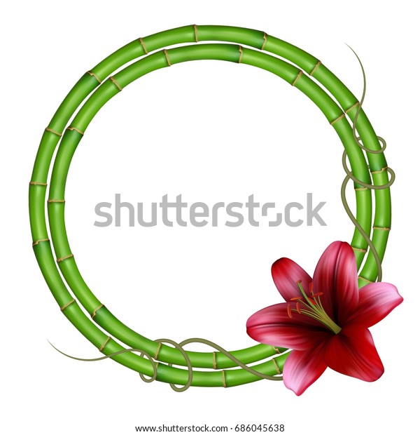 Realistic Bamboo Frame Red Lily Flower Stock Vector (Royalty Free ...