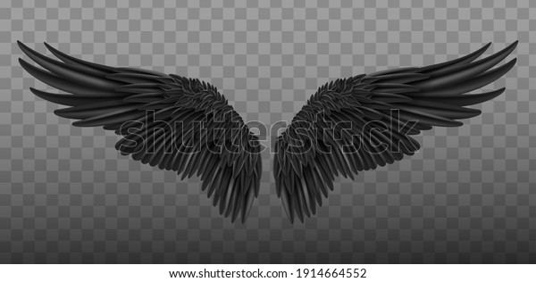 Realistic Black Wings Pair White Isolated Stock Vector (Royalty Free ...