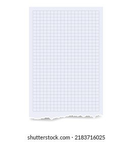 Realistic Blank Gridded Note Paper Ripped Stock Vector (Royalty Free ...