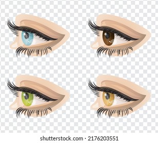 573 Hazel eyes vector Images, Stock Photos & Vectors | Shutterstock