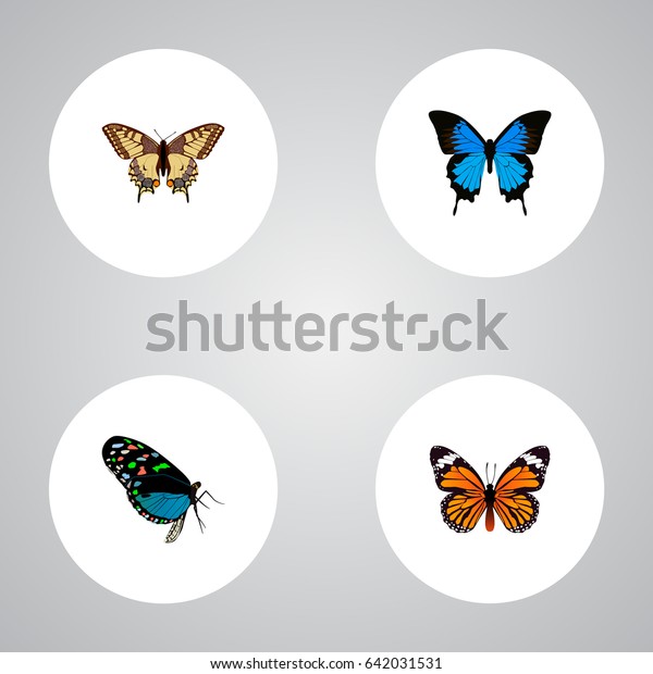 Realistic Common Blue Tiger Swallowtail Monarch Stock Vector (Royalty ...
