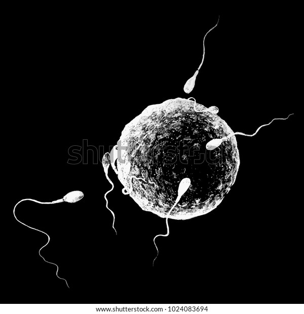 Realistic Concept Illustration Sperm Cells Swimming: vector de stock ...