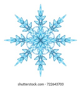 Snowflake Crystal Geometry Vector Graphic Illustration Stock Vector ...
