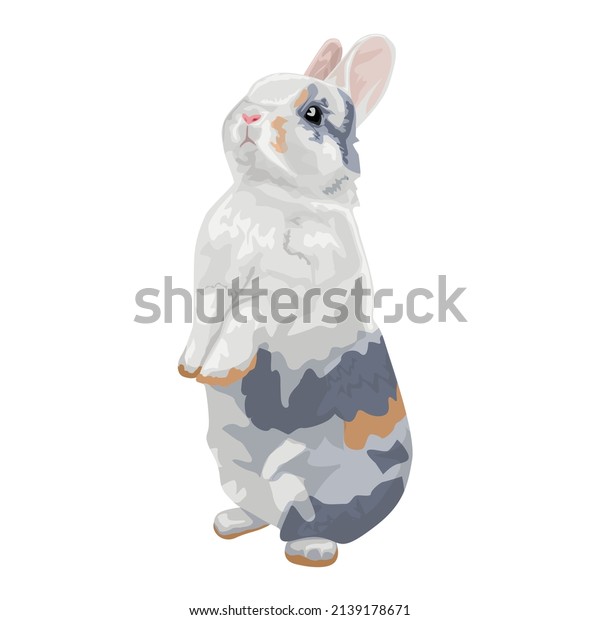 Realistic Cute White Spotted Bunny Vector: เวกเตอร์สต็อก (ปลอดค่า ...