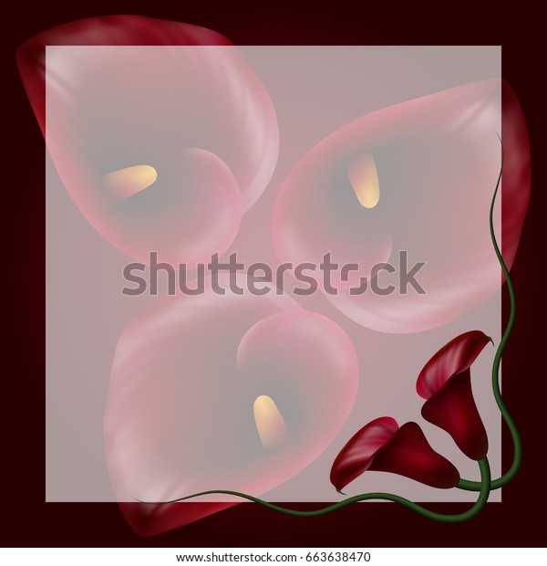 Realistic Dark Red Calla Lily Background Stock Vector (Royalty Free ...