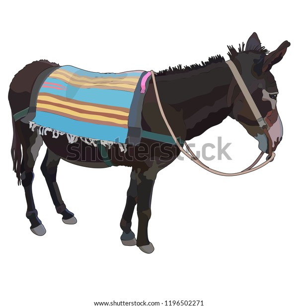 Realistic Donkey Rug Vector Illustration Eps Stock Vector (Royalty Free ...