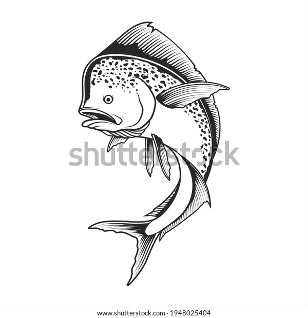 Realistic Dorado Fish Vector Illustration Sketch Stock Vector (Royalty ...