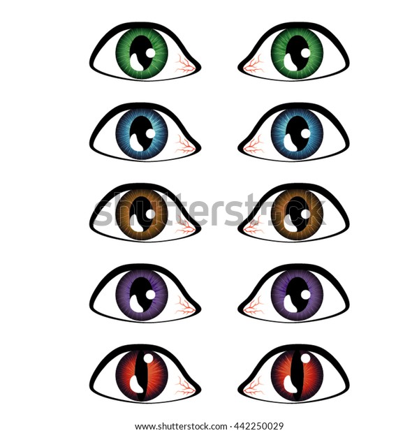 Realistic Eyes Set Stock Vector (Royalty Free) 442250029 | Shutterstock