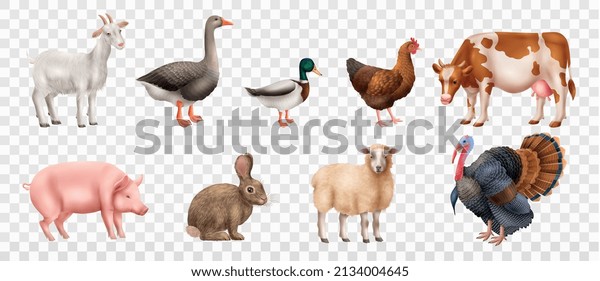 Realistic Farm Animals Set Goose Goat: เวกเตอร์สต็อก (ปลอดค่าลิขสิทธิ์ ...