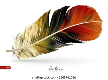 1,017 Translucent feather Images, Stock Photos & Vectors | Shutterstock