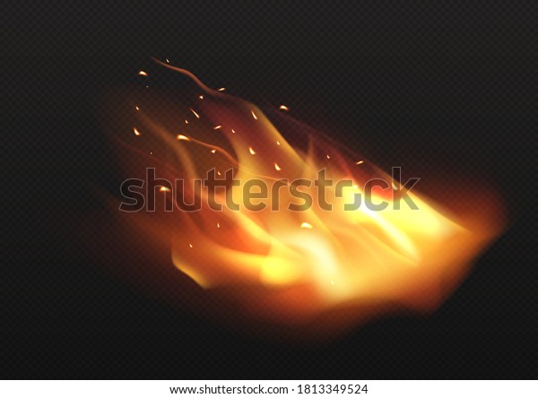 Realistic Fire Flame Spark Different Shapes Stock Vector (Royalty Free ...