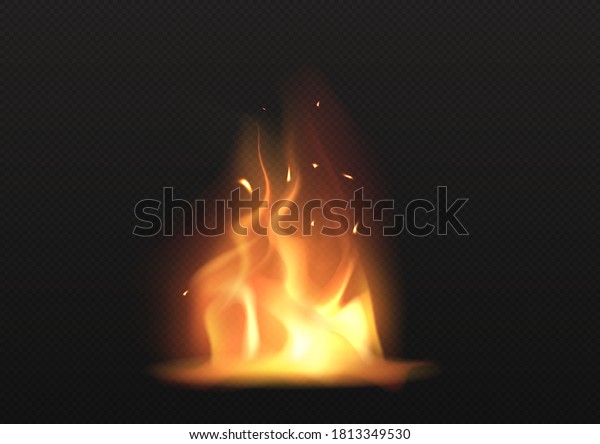 Realistic Fire Flame Spark Different Shapes Stock Vector (Royalty Free ...