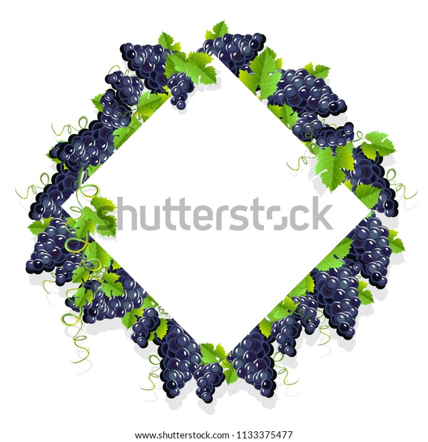 Realistic Frame Black Grapes Invitation Template Stock Vector (Royalty ...