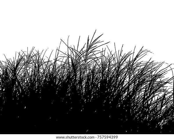 Realistic Grass Silhouettes Vector Illustrationeps10 Stock Vector ...