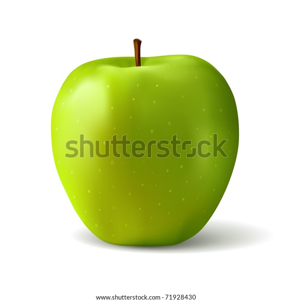 Realistic Green Apple Vector Illustration Gradient Stock Vector ...