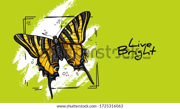 Realistic Hand Drawing Yellow Monarch Butterfly Stock Vector (Royalty ...