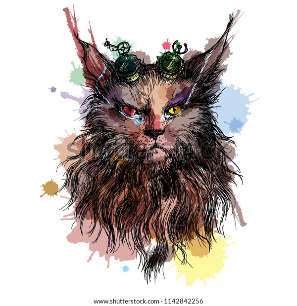 Realistic Hand Drawn Mainecoon Cat Crosshatched Stock Vector (Royalty ...